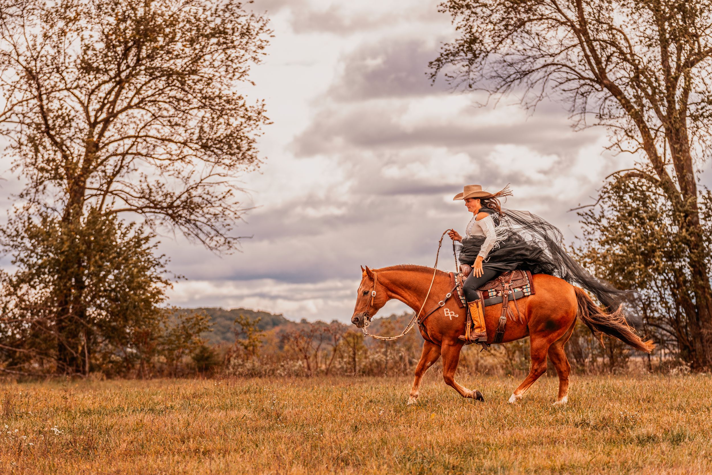 Turquoise Lane Photography