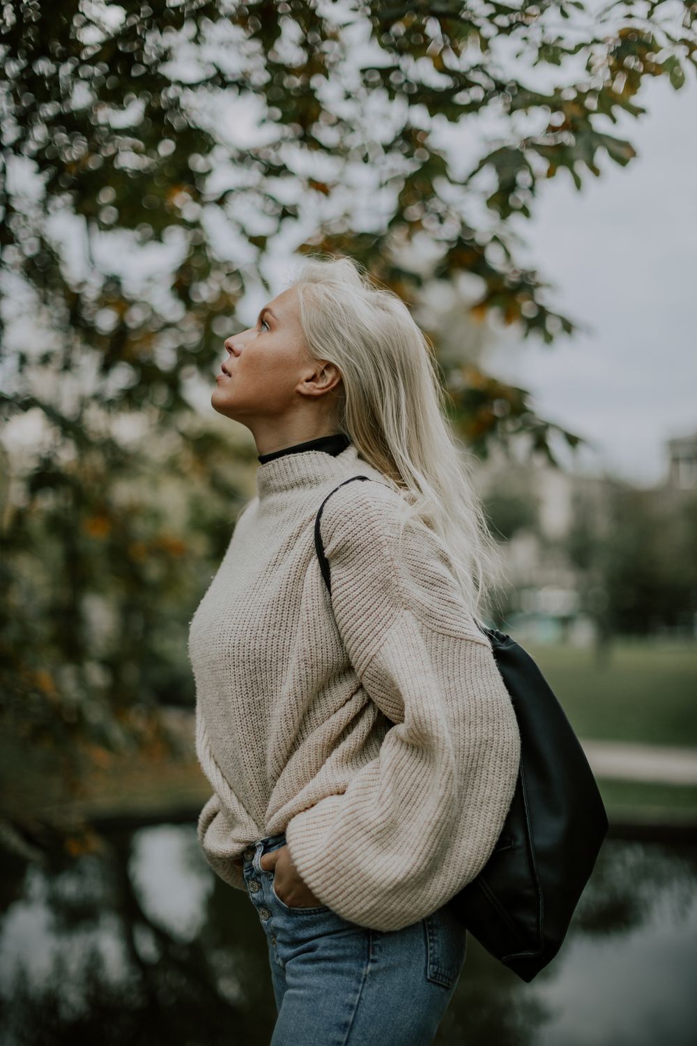 The Stories - Sipelga