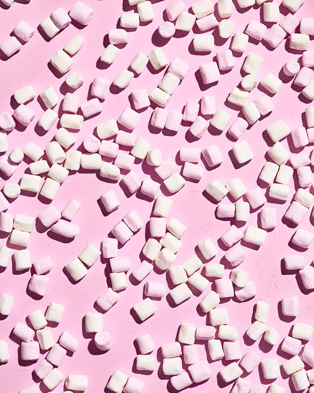 Commercial sweet photography portfolio - Nancy Anne Photography