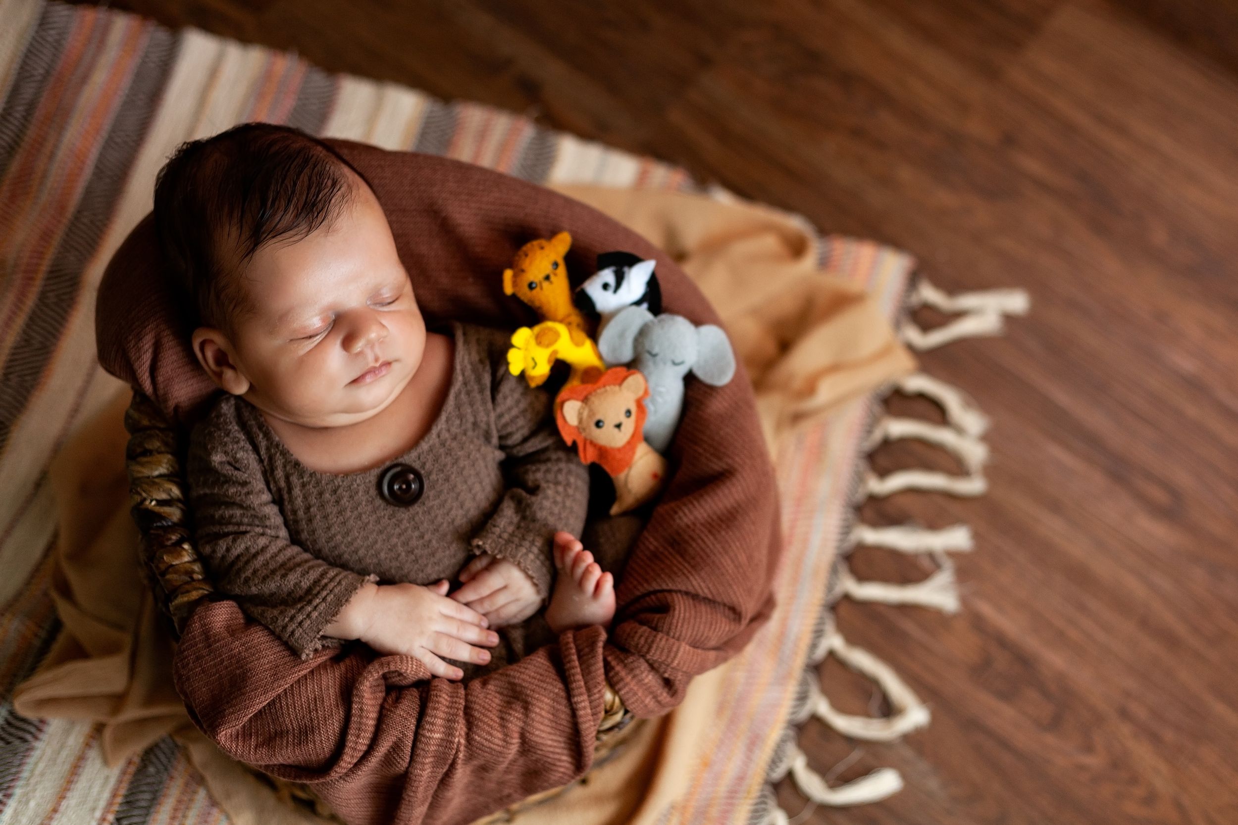 Newborn Sessions - The Best Nest Portraits