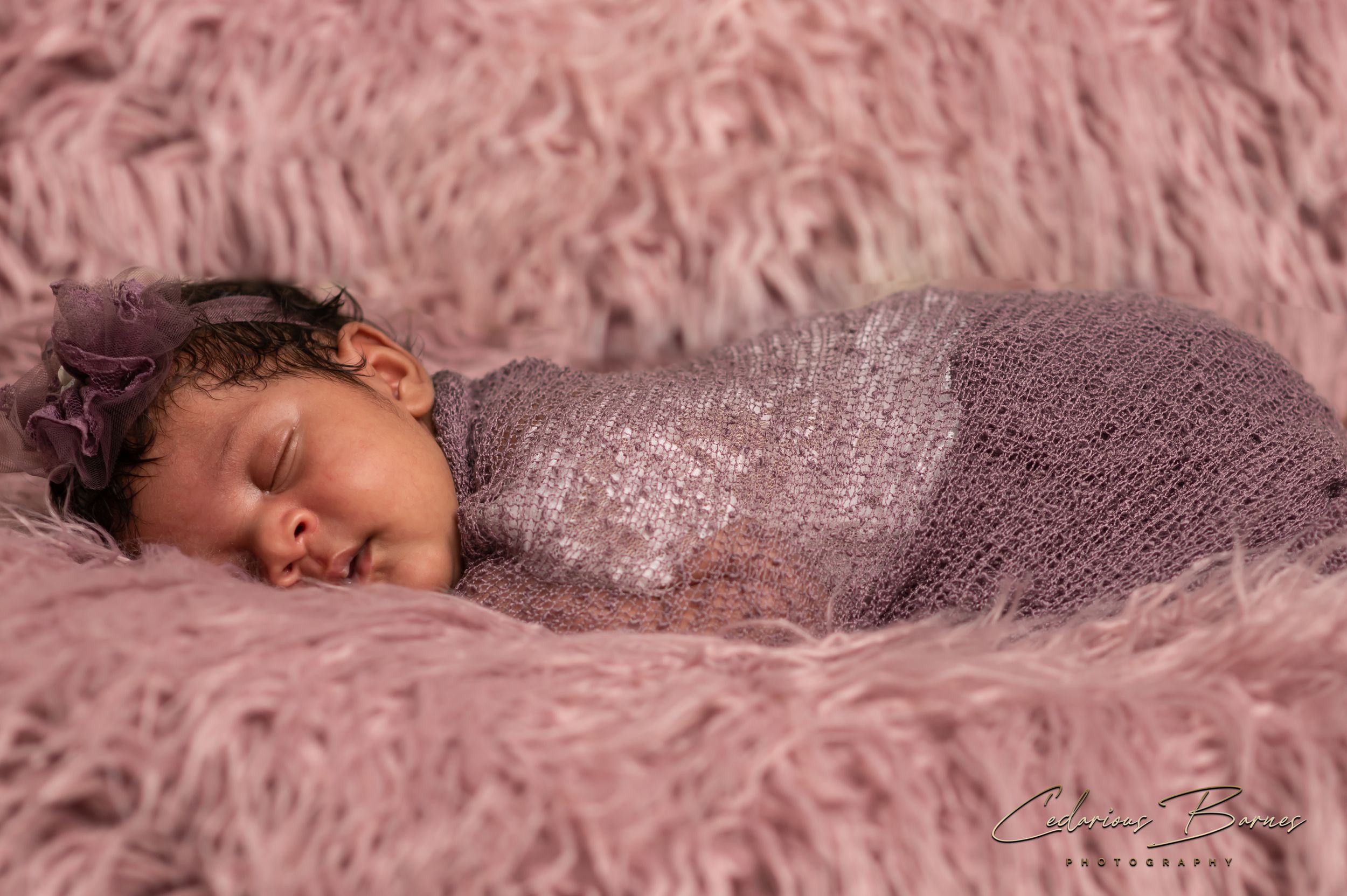 Cedarious Barnes Photography