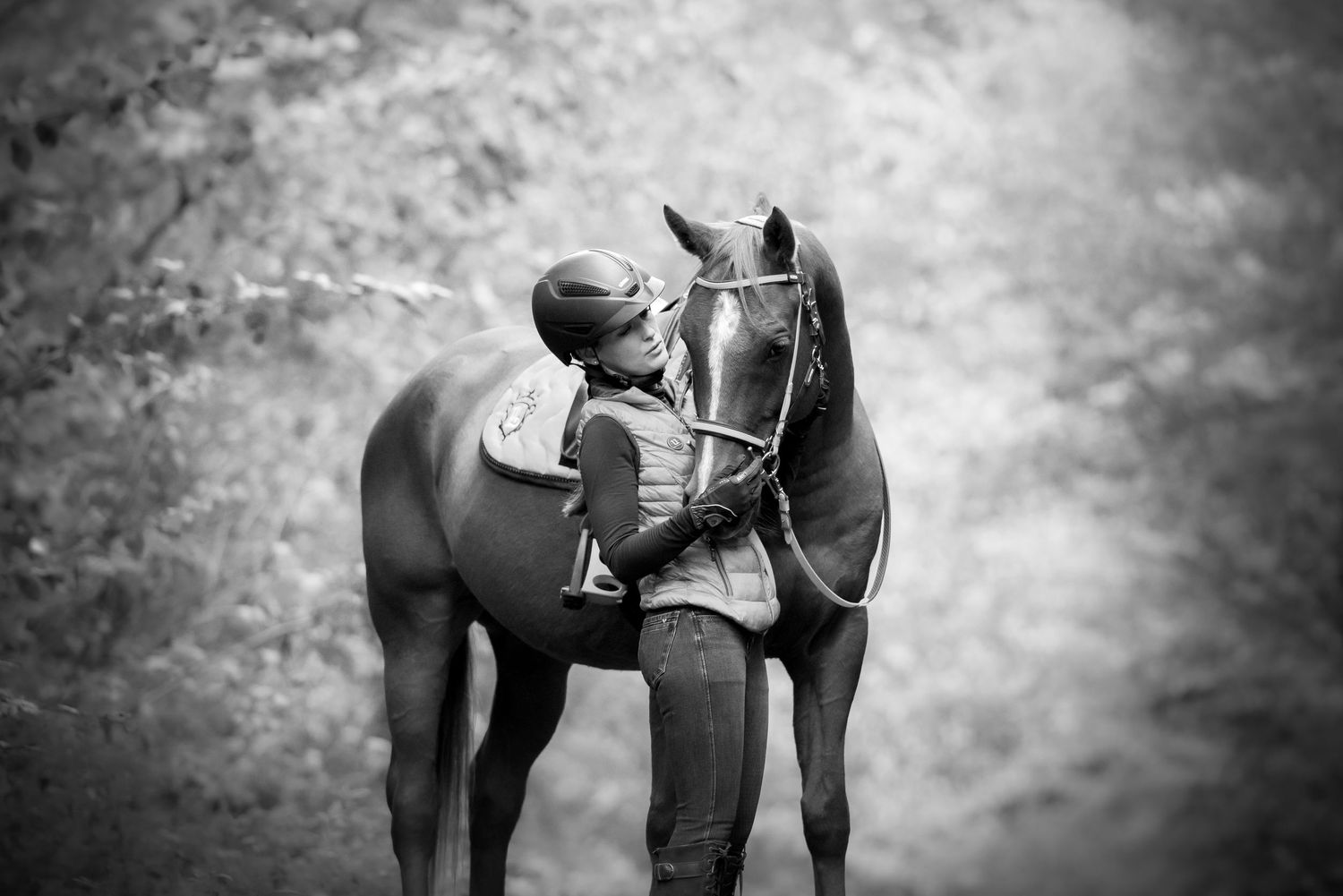 Portfolio Chevaux - Focus Animal - photographe animalier au Luxembourg
