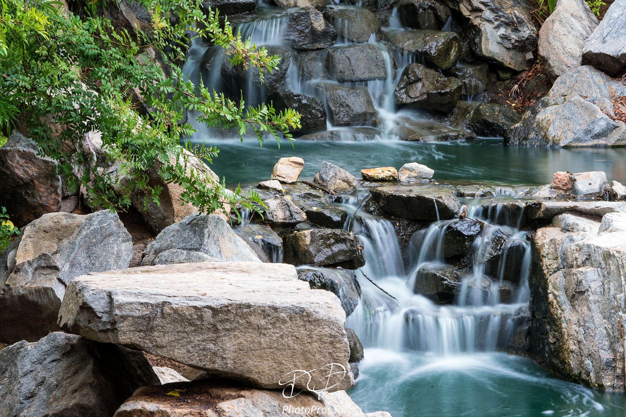 Street & Nature - PhotoPros.io