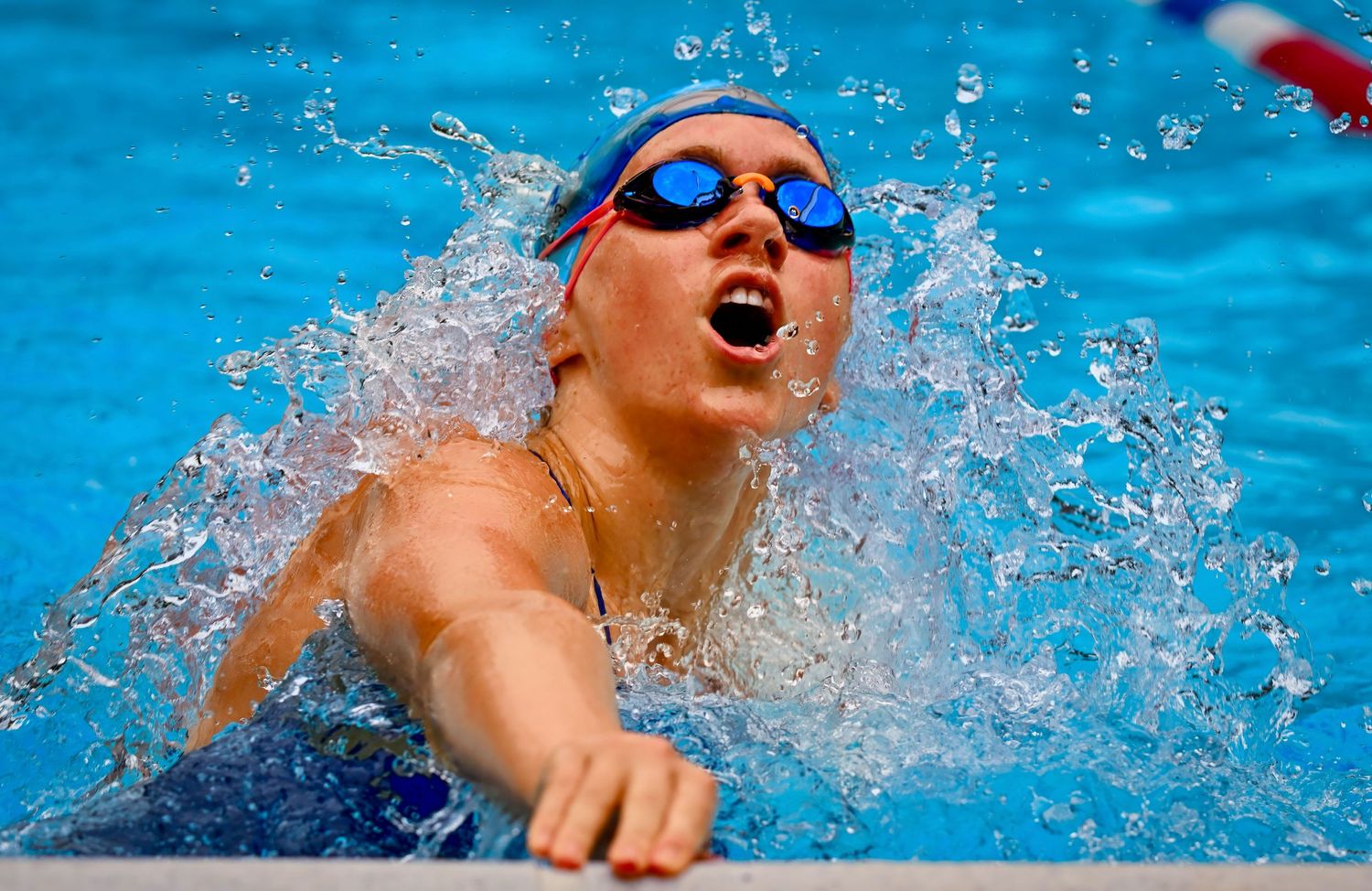 Portfolio - Steve Broderick Photography