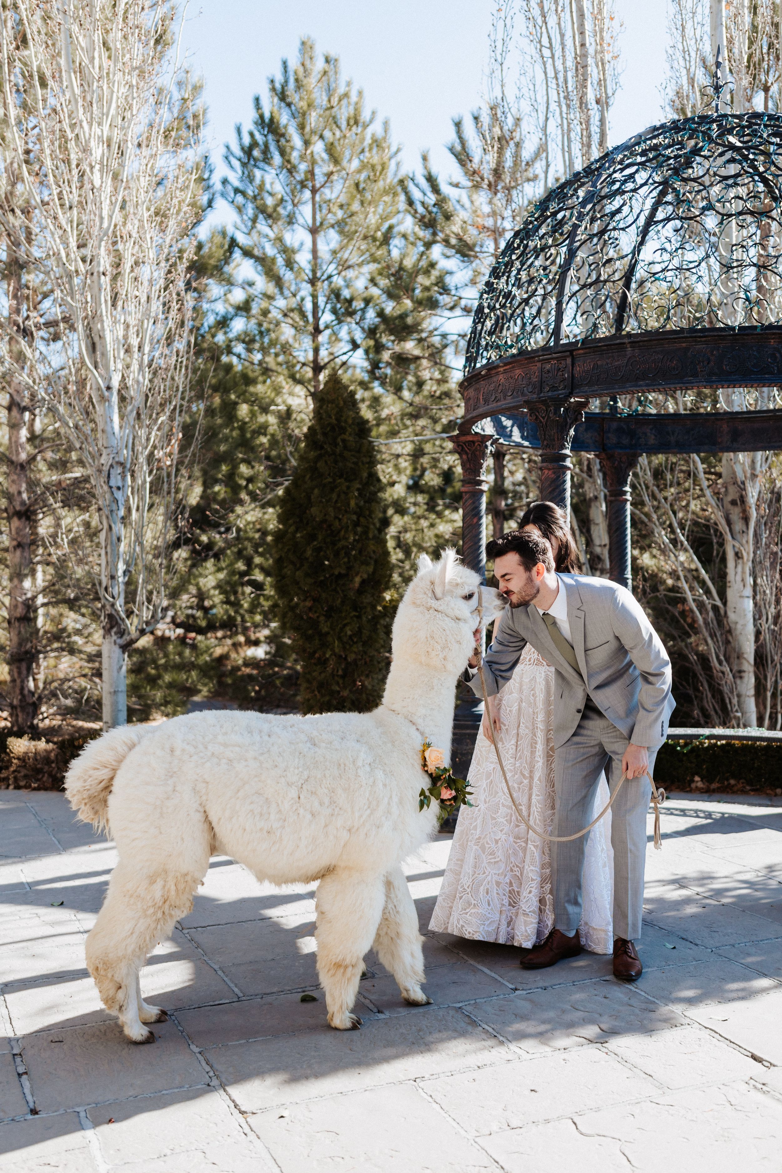 Alpaca Styled Shoot with Sleepy Ridge Weddings - Peppergrass Ranch