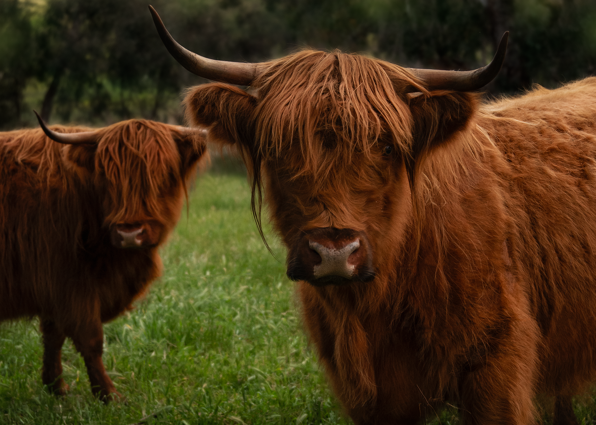 Treasured Memories Photography