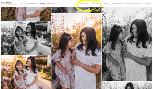 Behind the Scenes: What Happens to Your Photos After Our Session ...