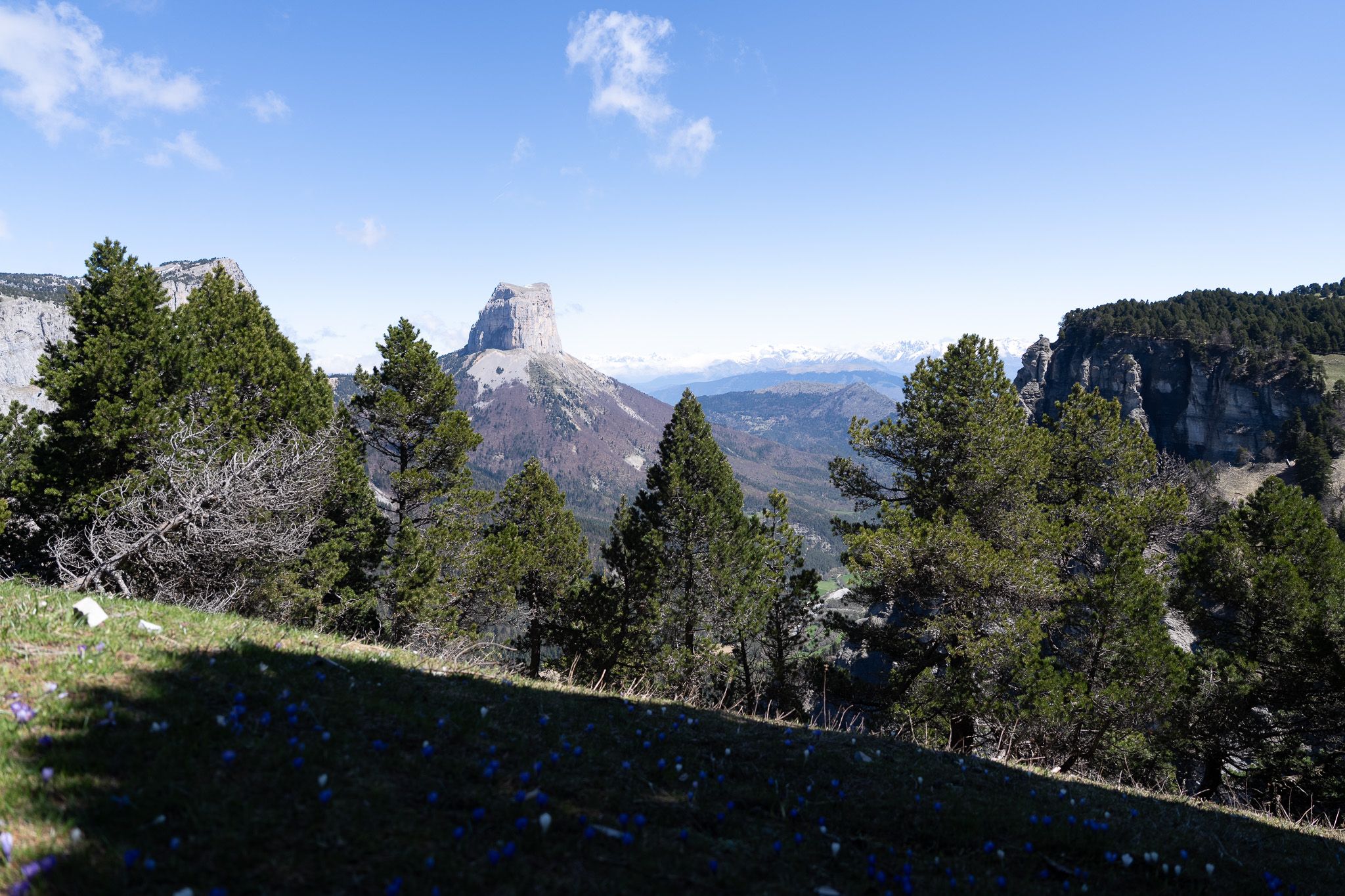 RAW ou JPG : quel format choisir pour vos photos ? - SUB EXPLORE ...