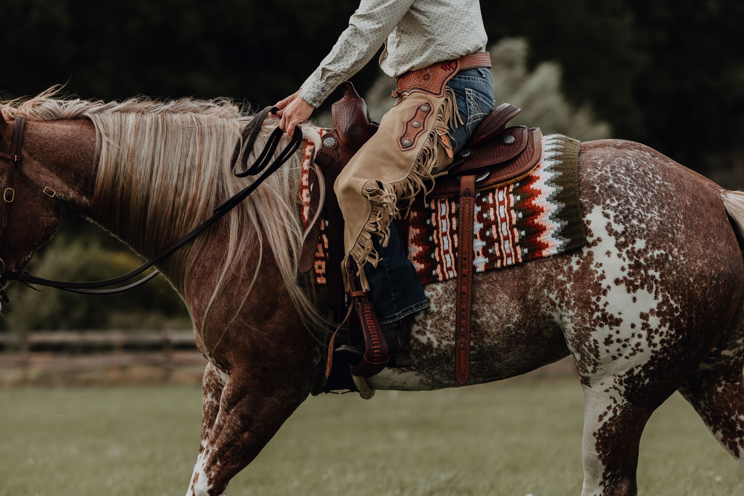 Turning Stormy Skies into Stunning Photos - Anna Archinger | Horse ...