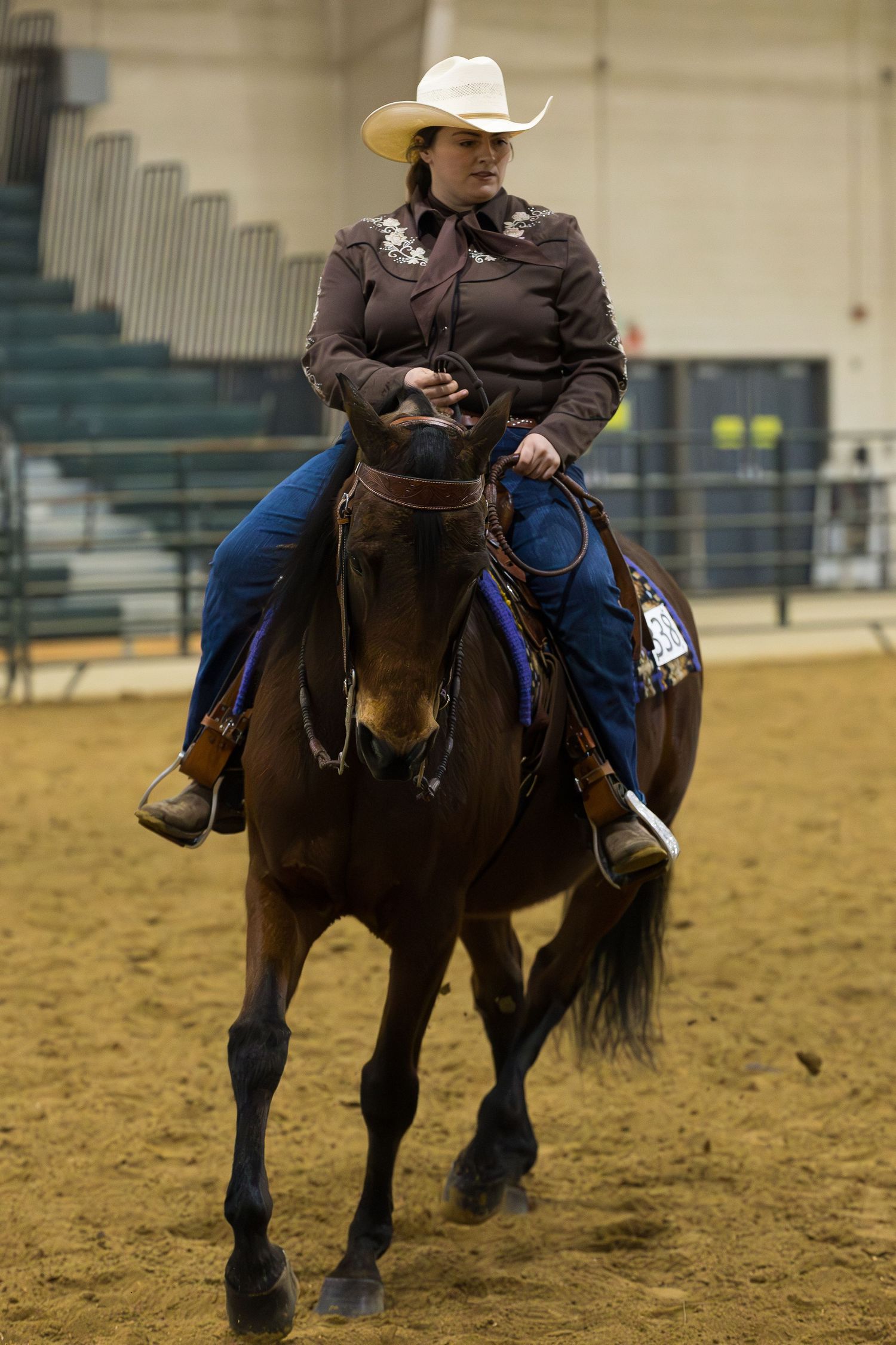 Horse Show Galleries Copy - Lindsey Isom Photography
