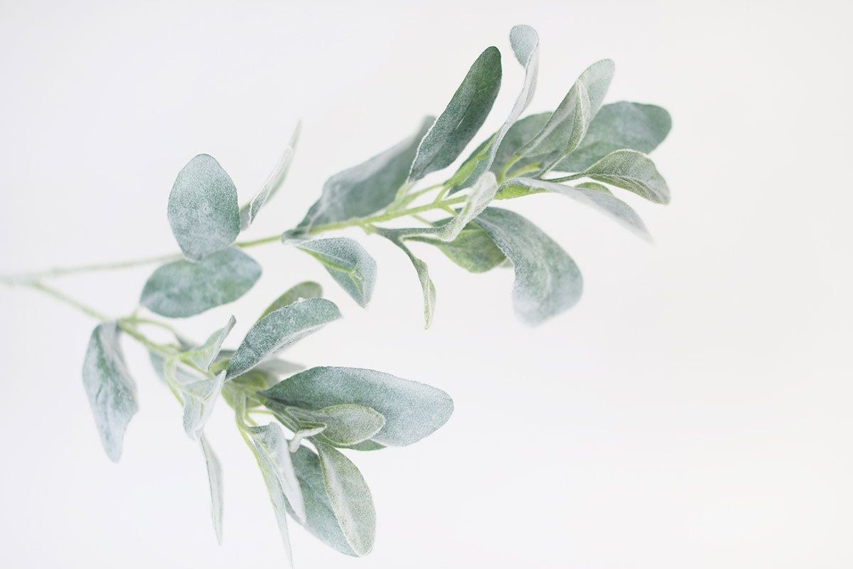 Contact - Saving Grace Photography By M.Saucier