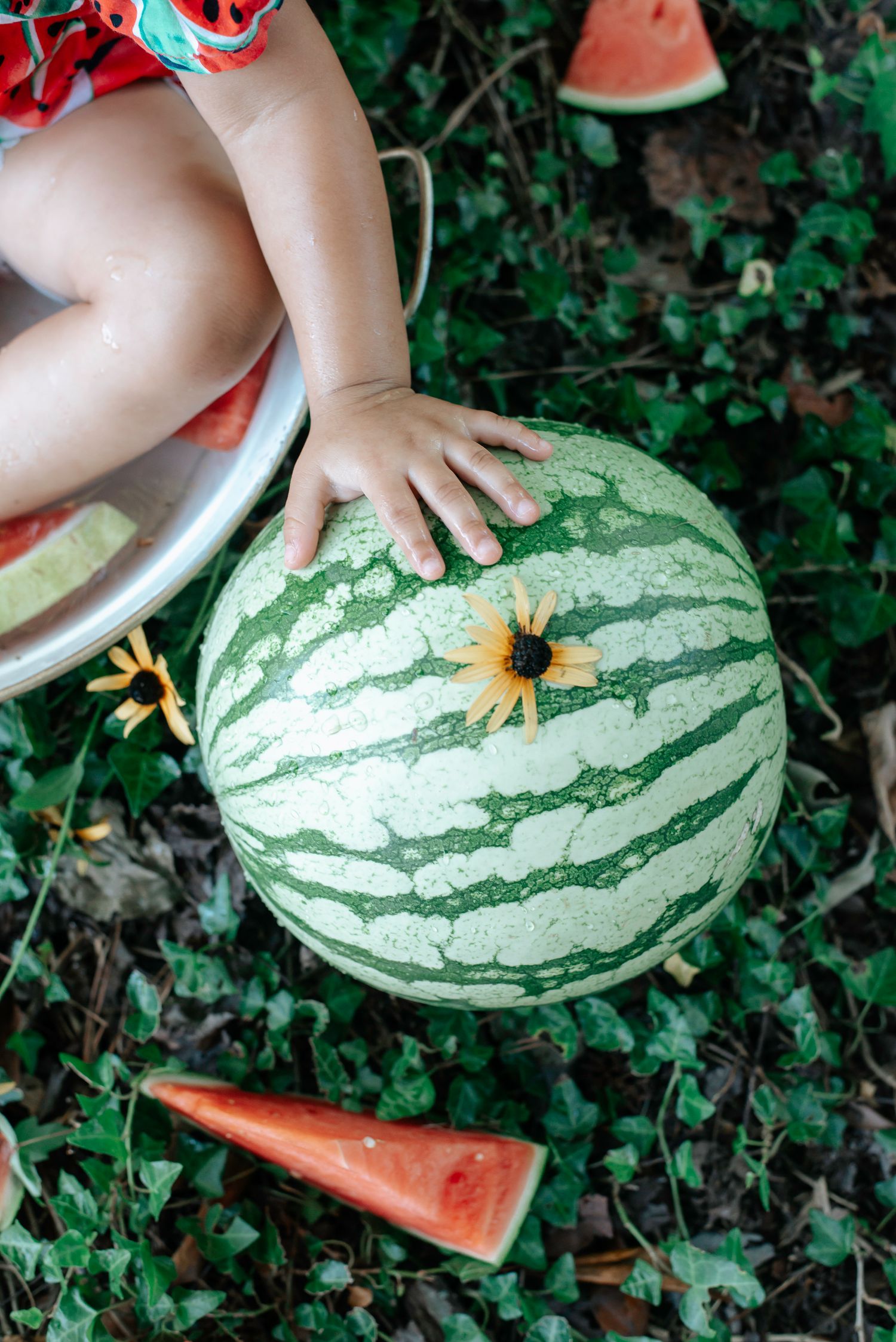 WaterMelon Minis 2022 - RitaReavesPhotography