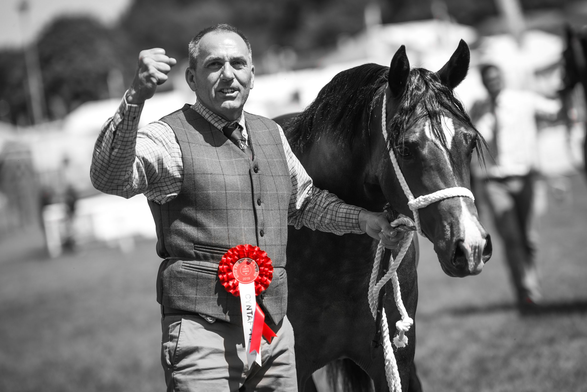 Royal Welsh Show - EquinePix: Welsh Pony & Cob Photography