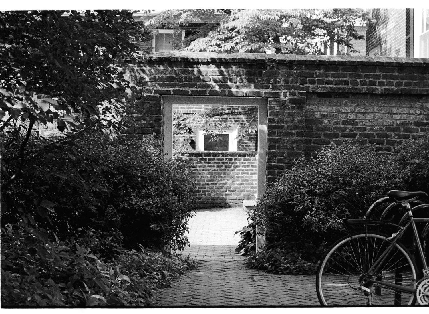 About Emily Butz Richmond Family Photographer - M.Photo