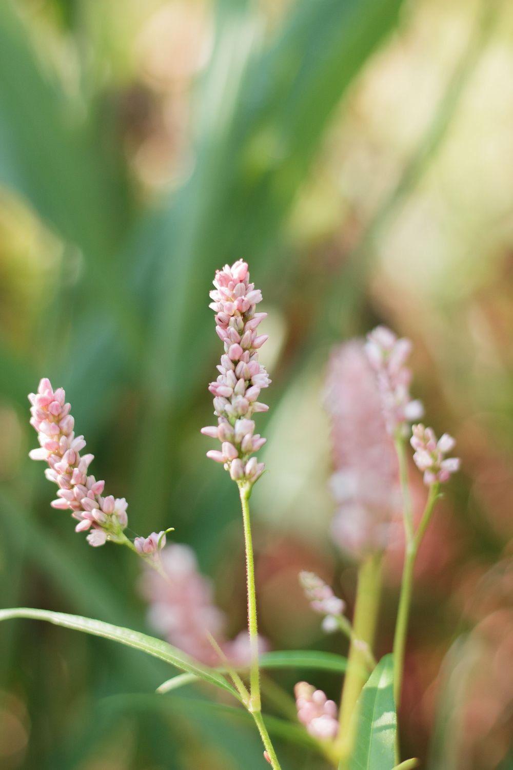 Gracie Ruth Photography