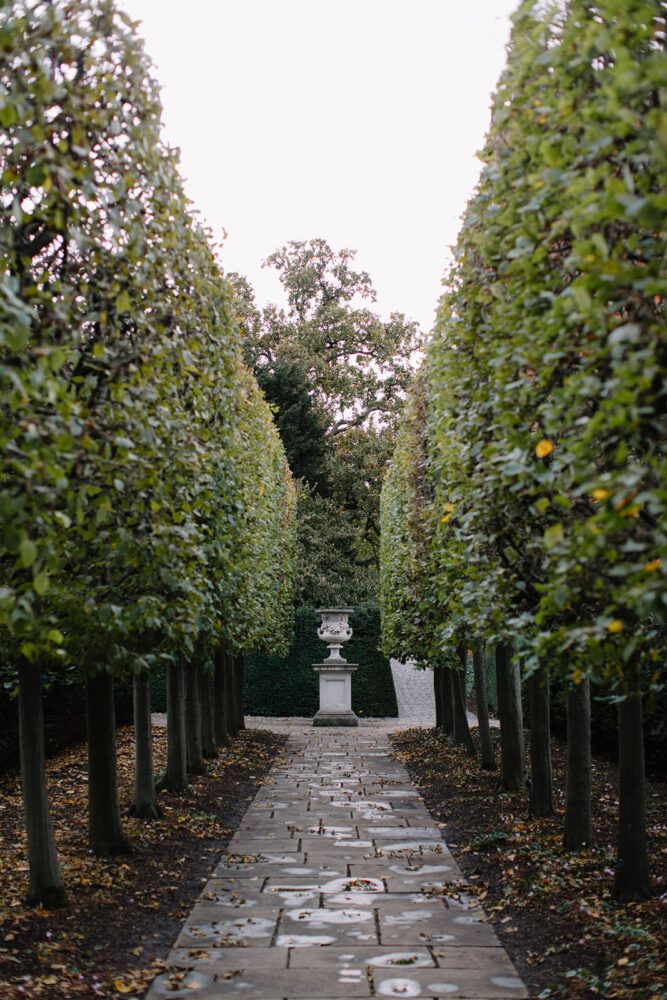 Rachel & Leo - Rebecca Goddard