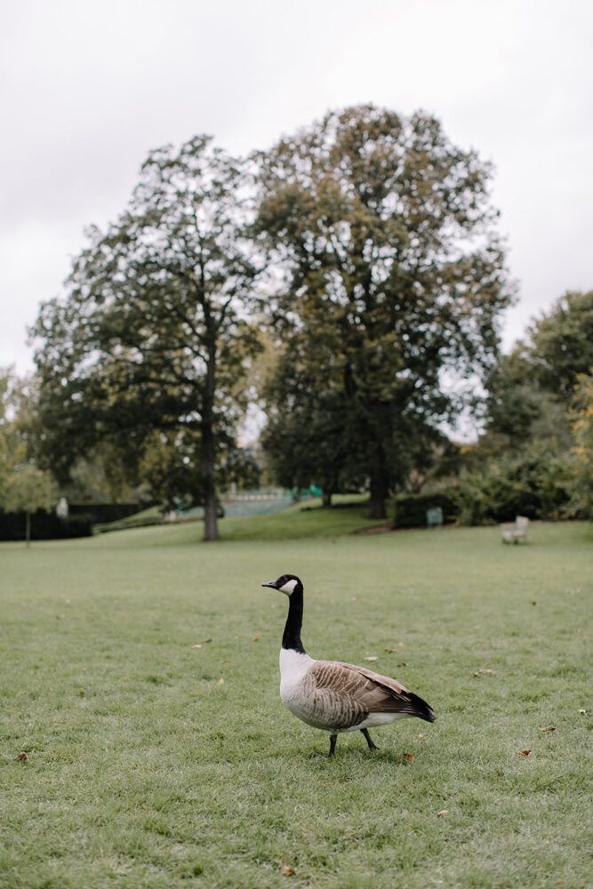 Rachel & Leo - Rebecca Goddard