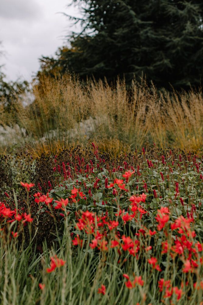 Rachel & Leo - Rebecca Goddard