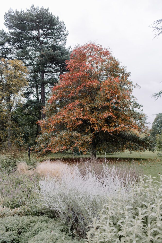 Rachel & Leo - Rebecca Goddard