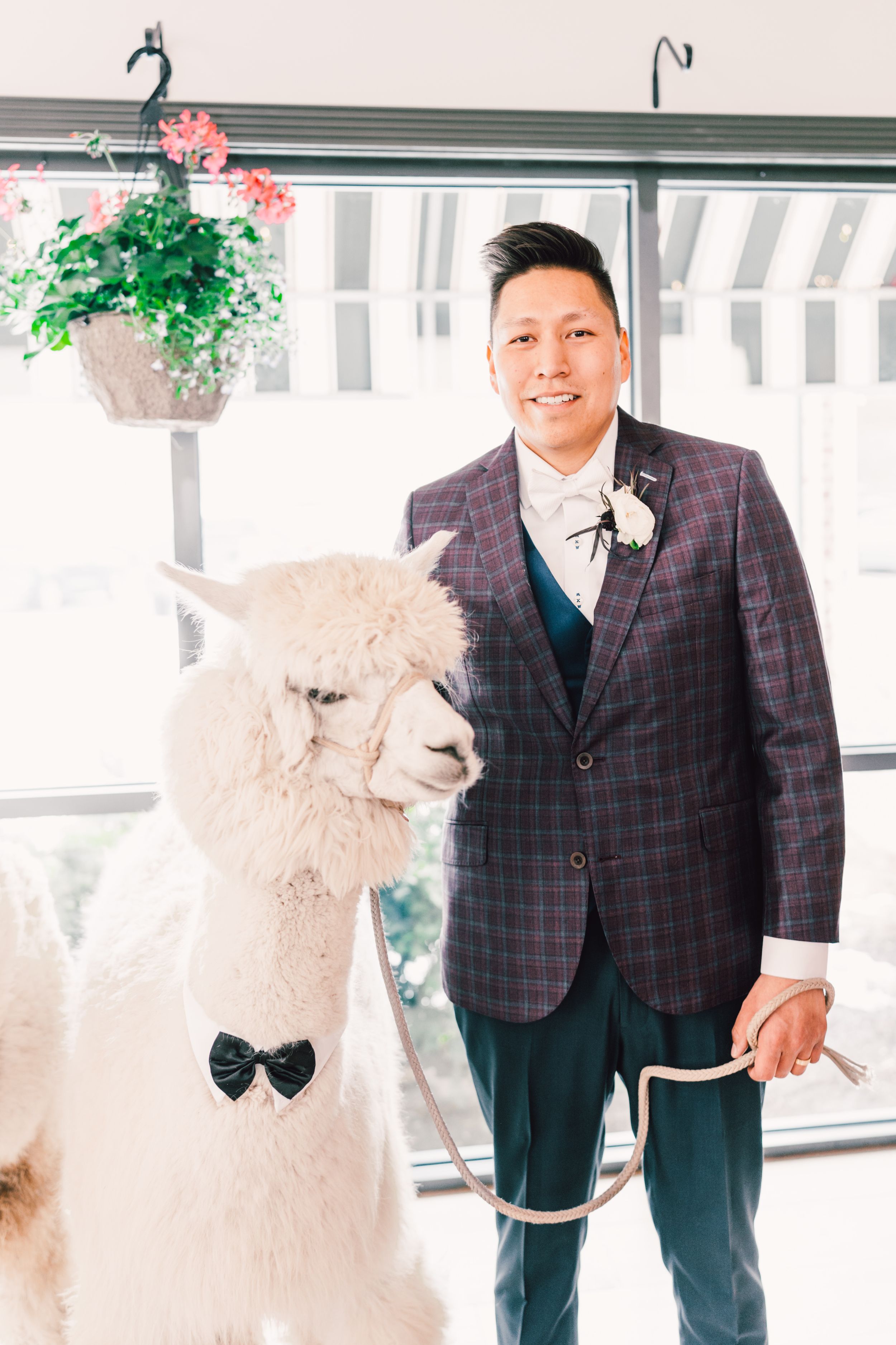 Jessica + Roddy Alpaca Wedding - Peppergrass Ranch