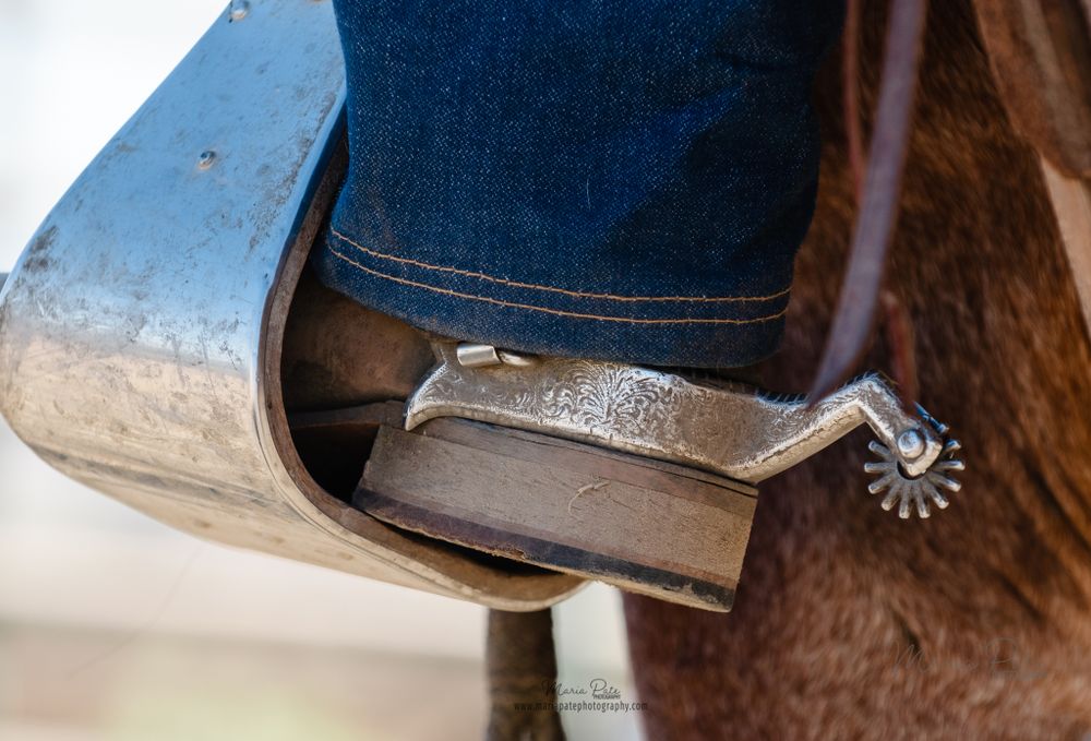 My Art Gallery - Maria Pate Photography