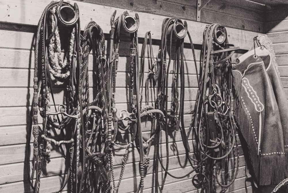 My Art Gallery - Maria Pate Photography