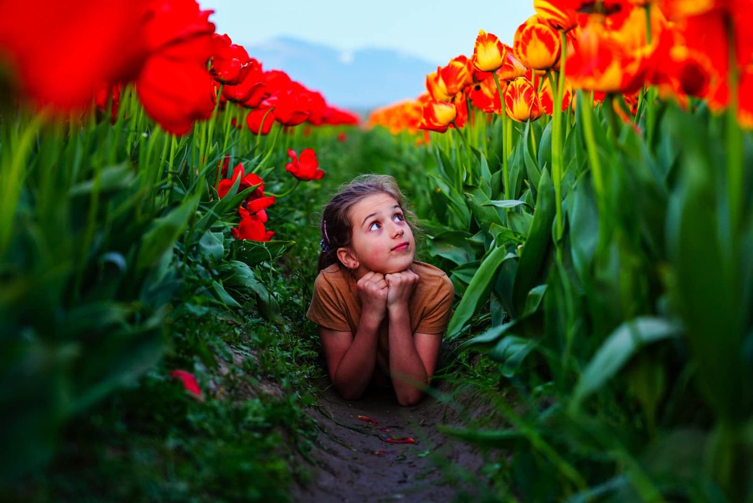 Shea Sullivan Photography