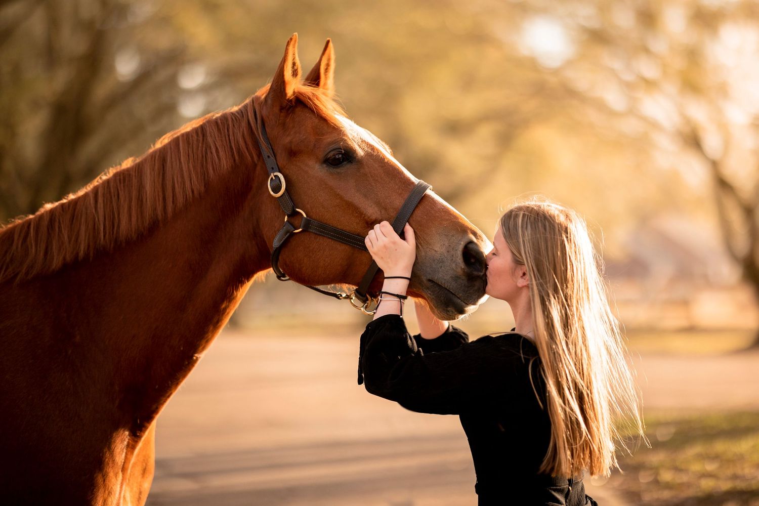 Portraits - Symbolic Visuals