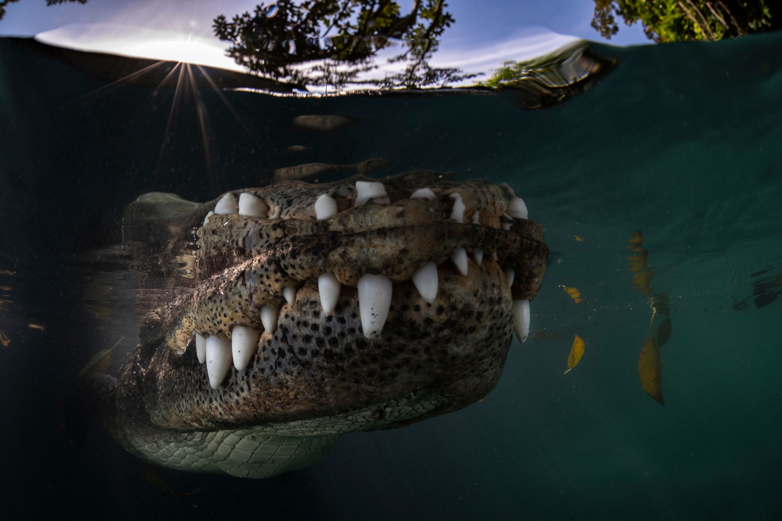 Zach Ransom Photography