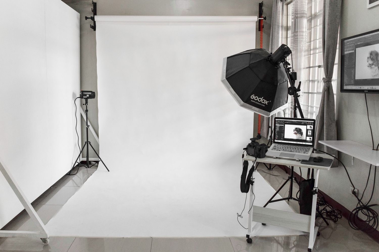 Contact - Pet Visuals | Dog Photographer Manila