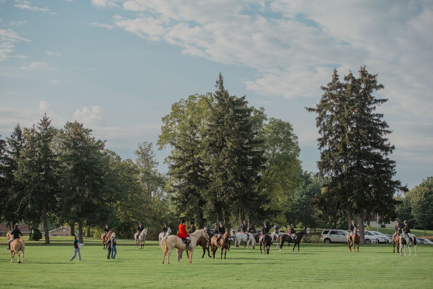 Fox Hunting - Mane Media