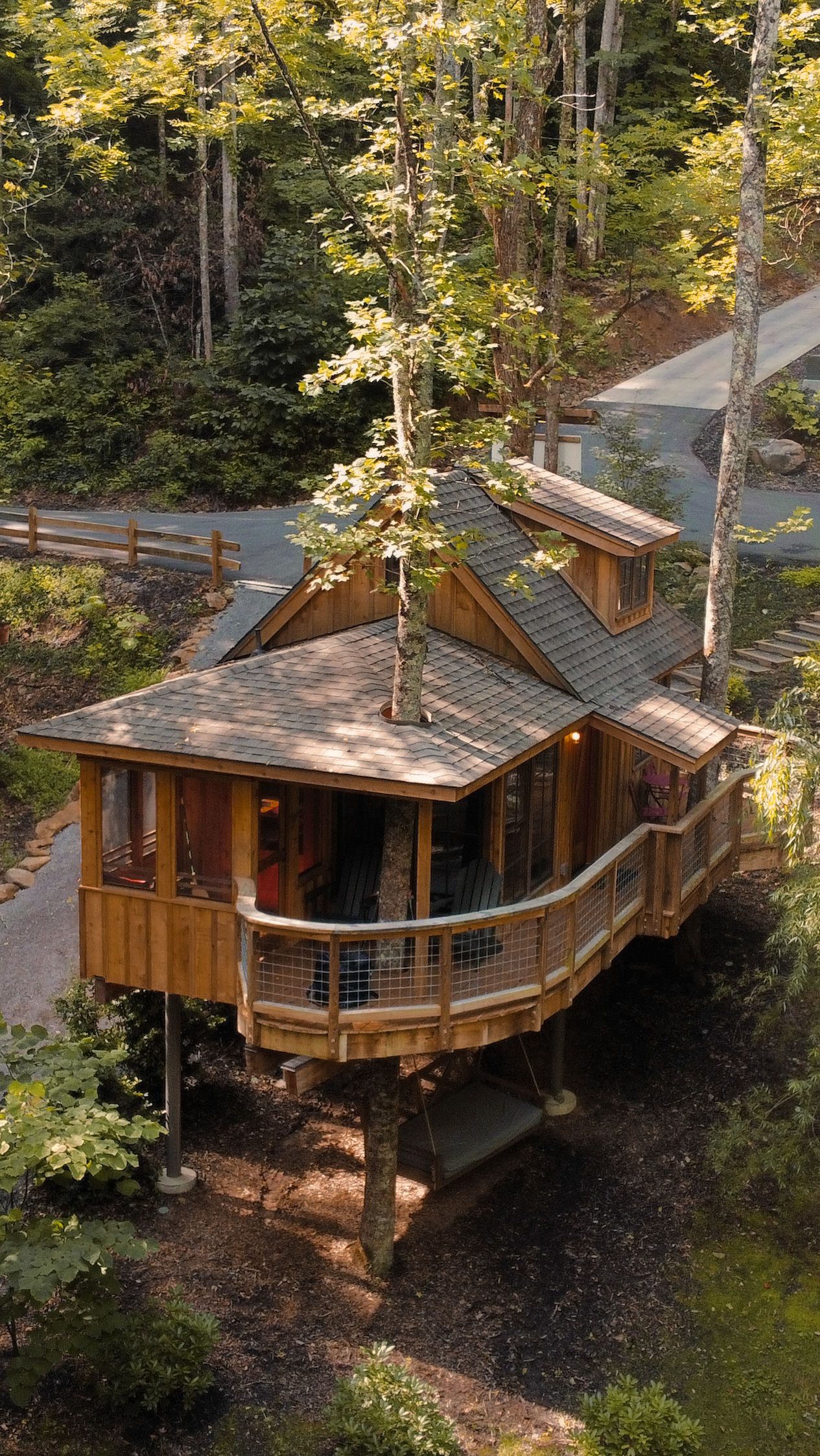 Treehouse Grove - Moses Berdy Media