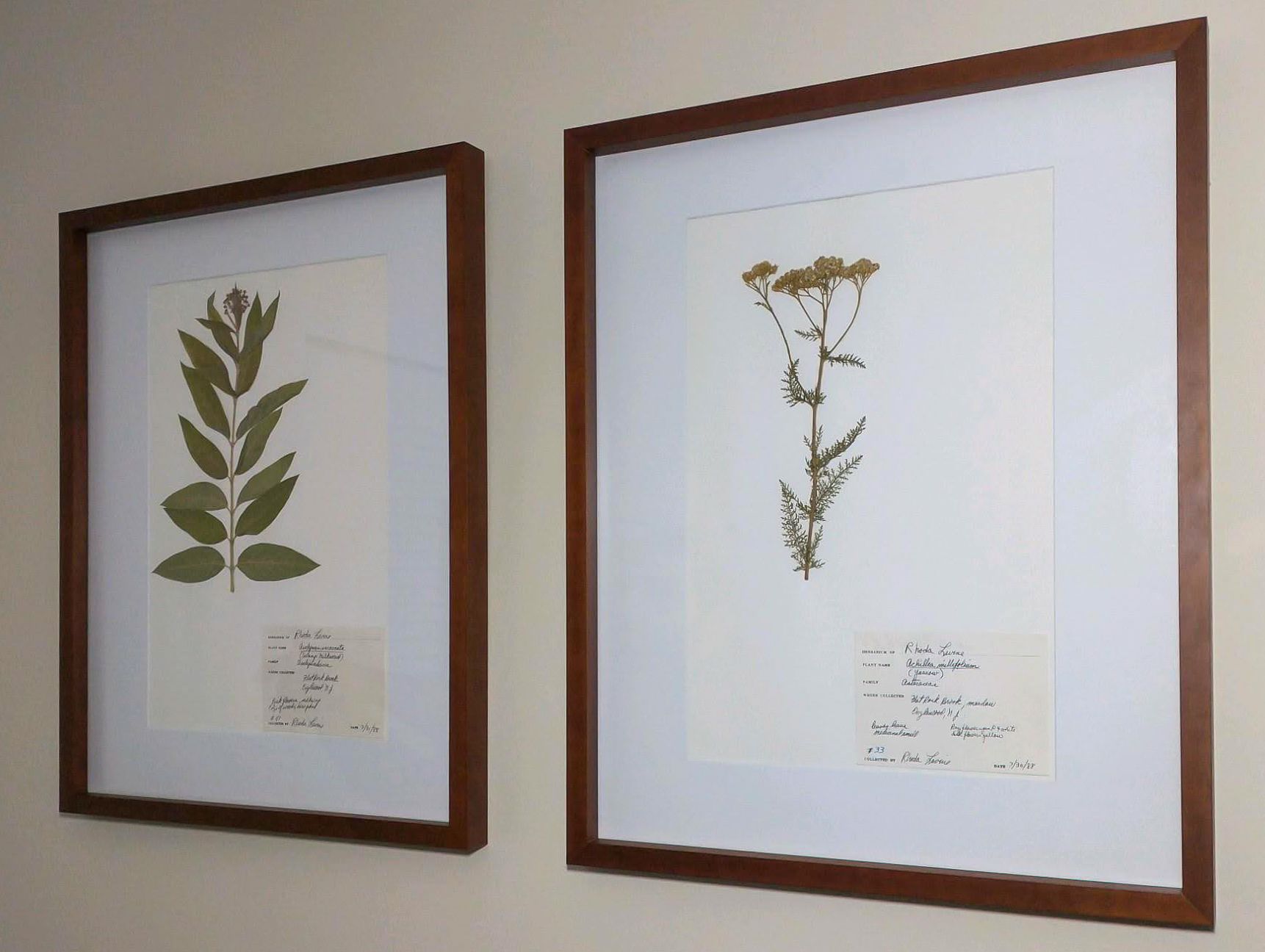 Framing - Unique Frames