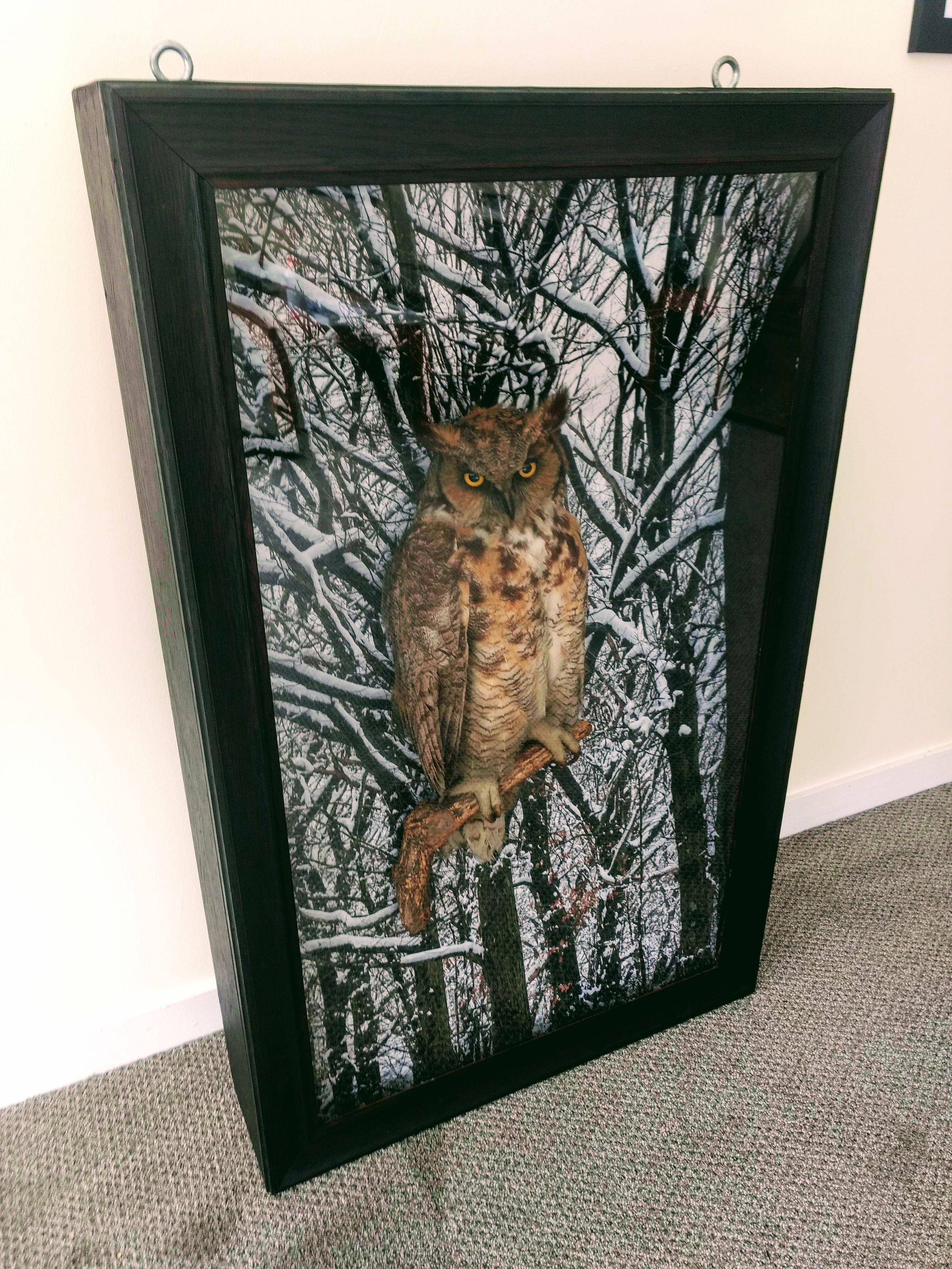 Framing - Unique Frames