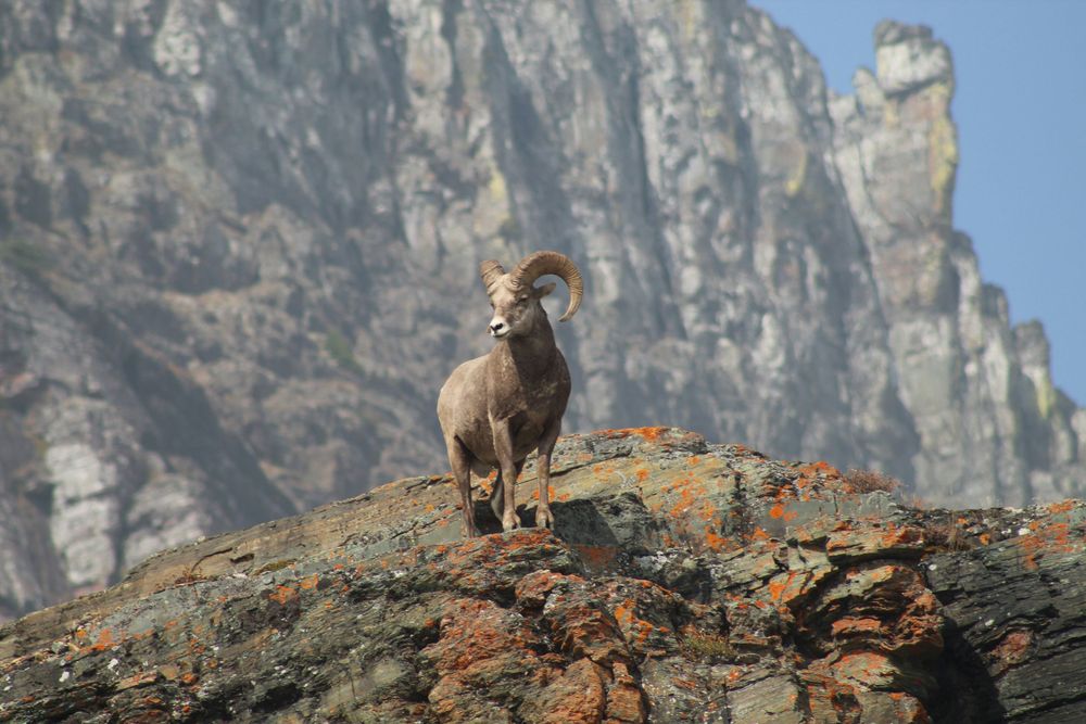 Exploring Glacier National Park: The Ultimate Guide to Drive Times and ...
