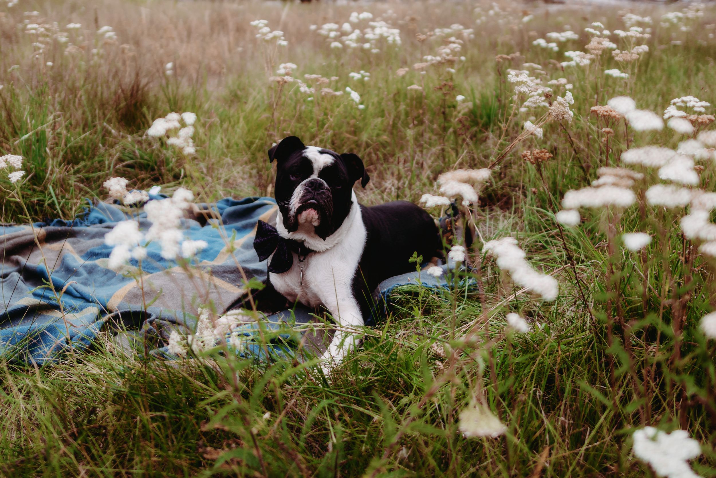 Sam & Maci - Crystal Spackman Photography