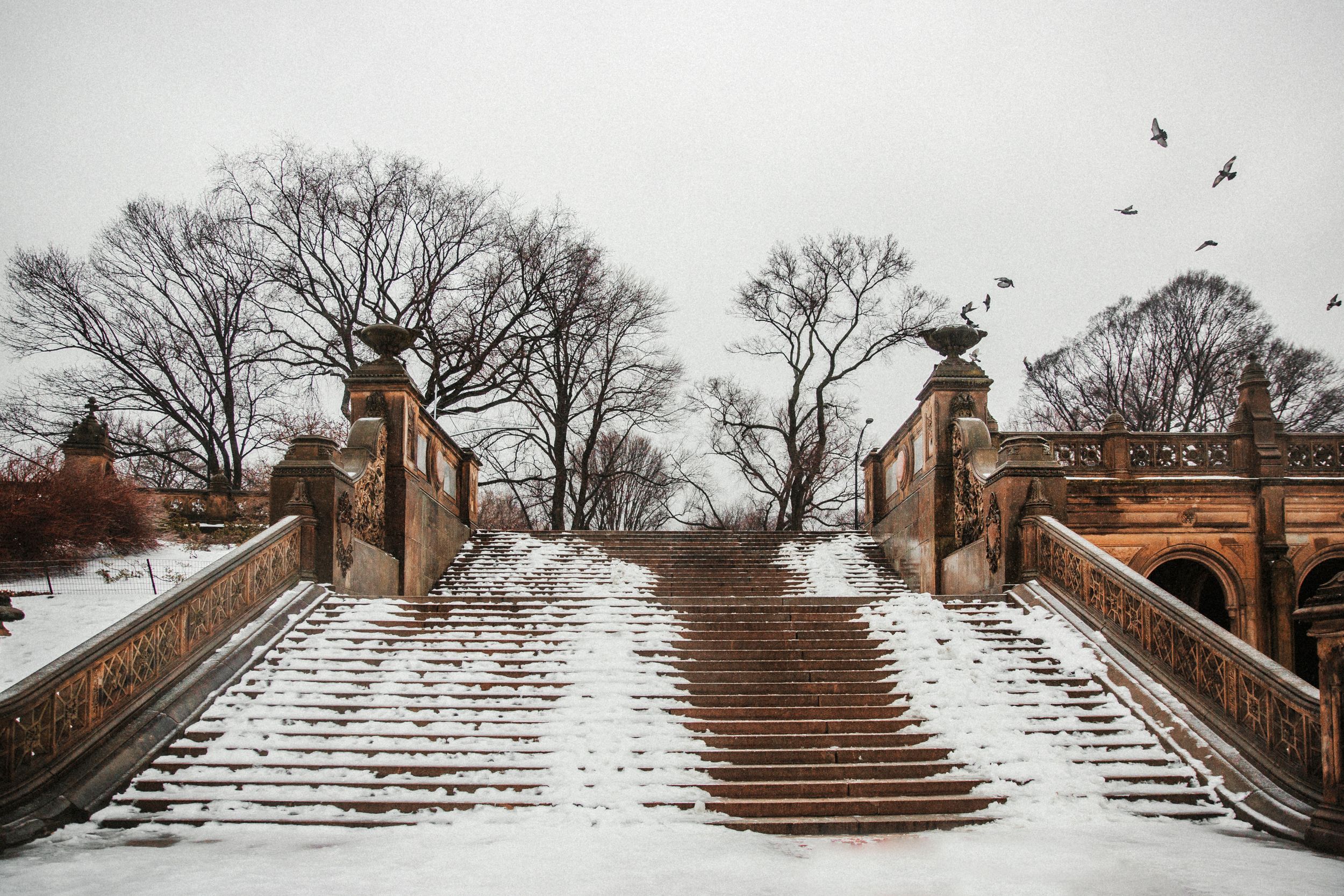 Jessica Rose Photography