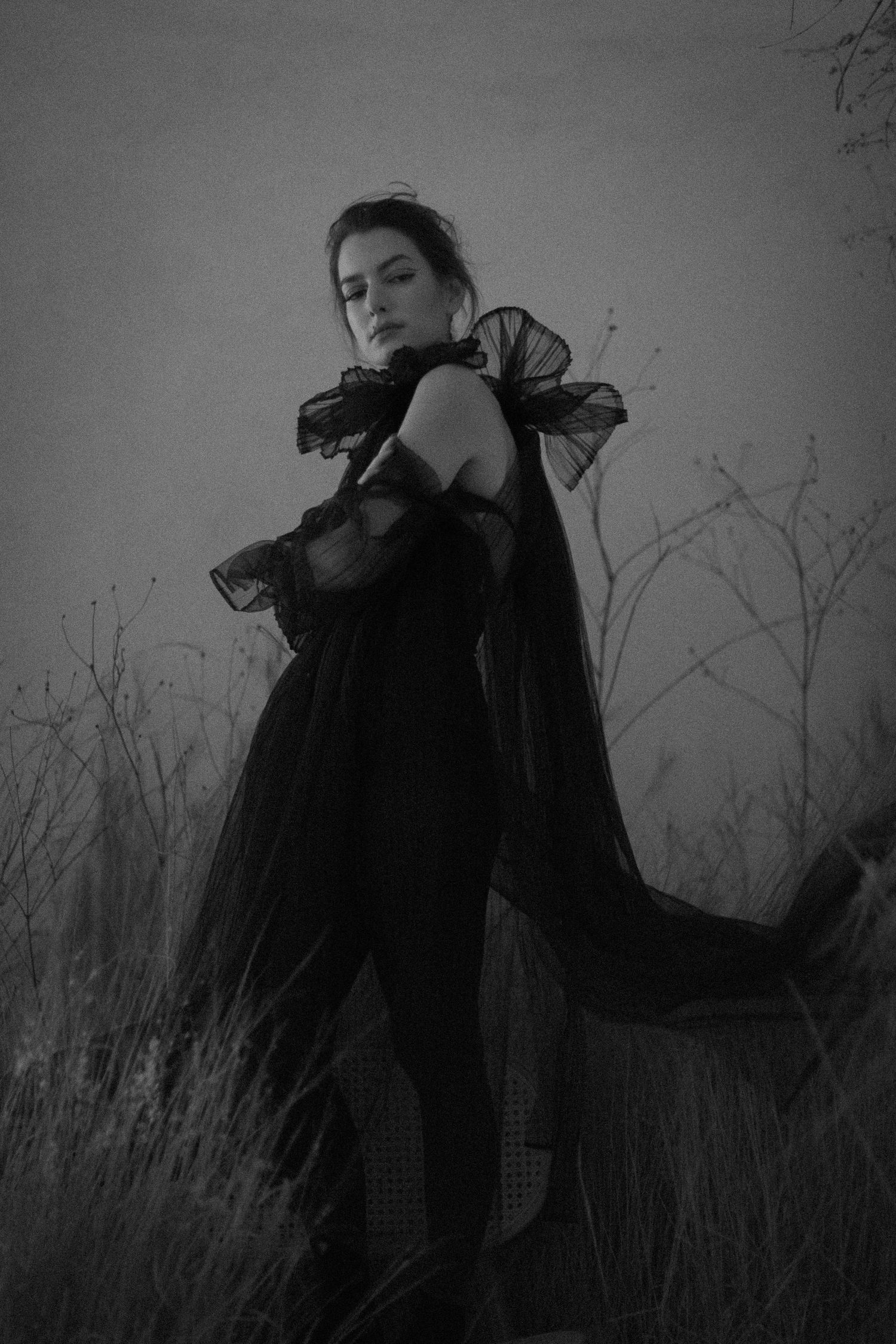 hello timber - Hazel and Kin photography