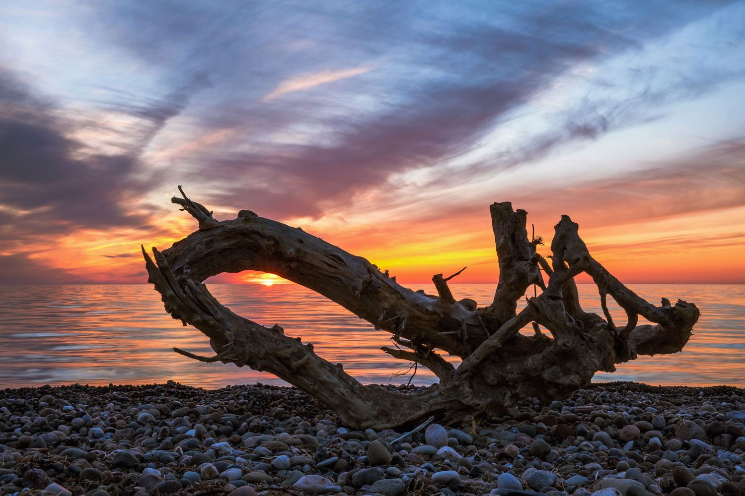 Fine Art - Jason Shaffer Photography