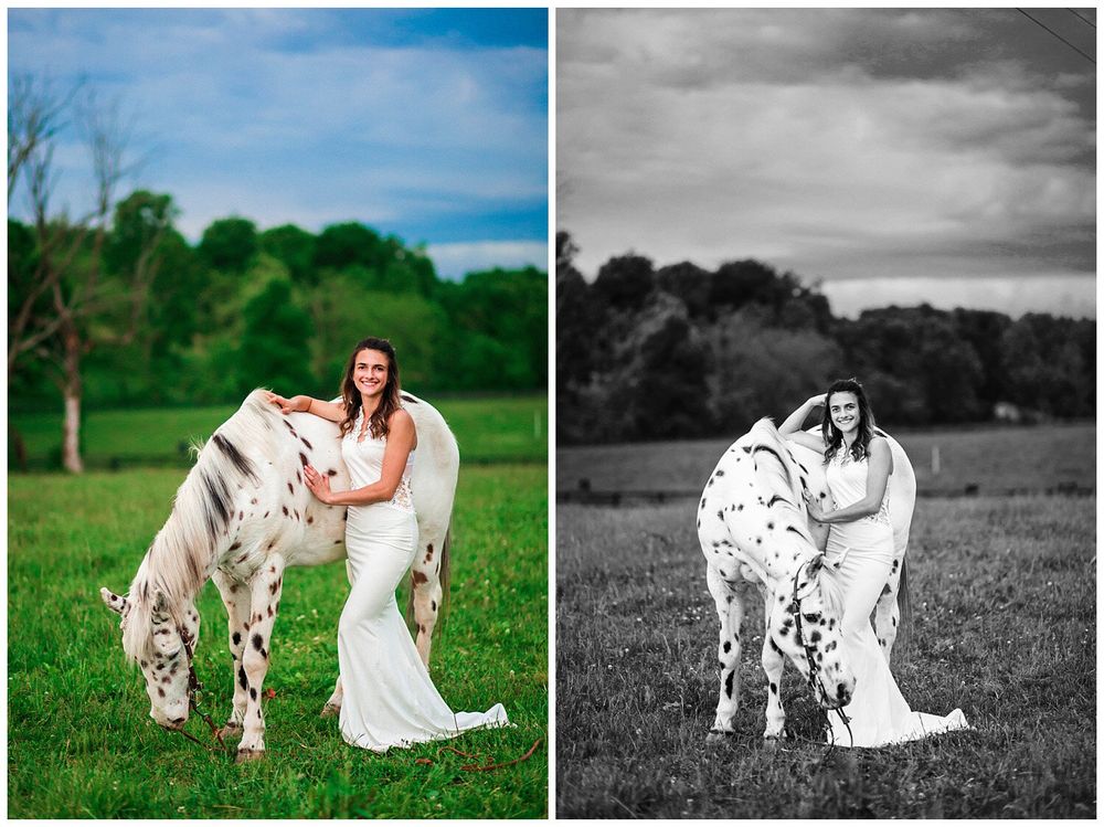 Stomping Ground Kentucky Horse and Rider Session at Brighton Wells Farm ...