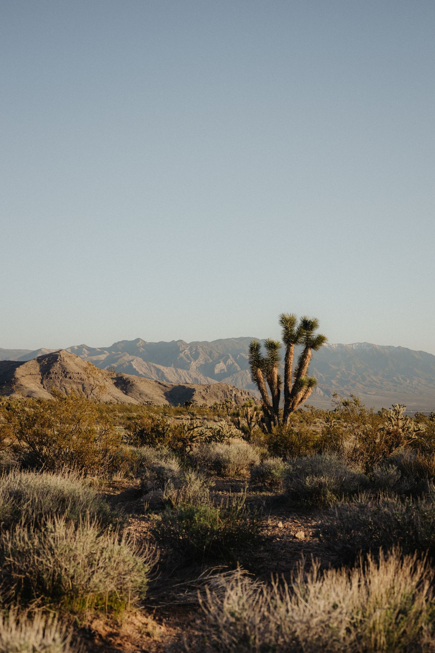 Nathan Mathews Photography