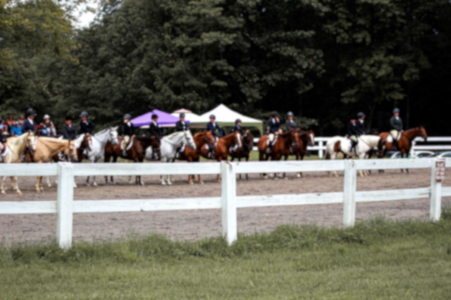 Contact - Meredith Marie Photography