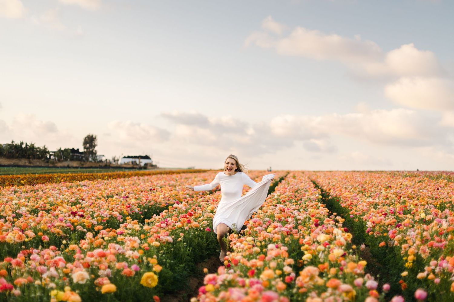 Contact Evelyn for your wedding dream photography - Evelyn Wedding ...