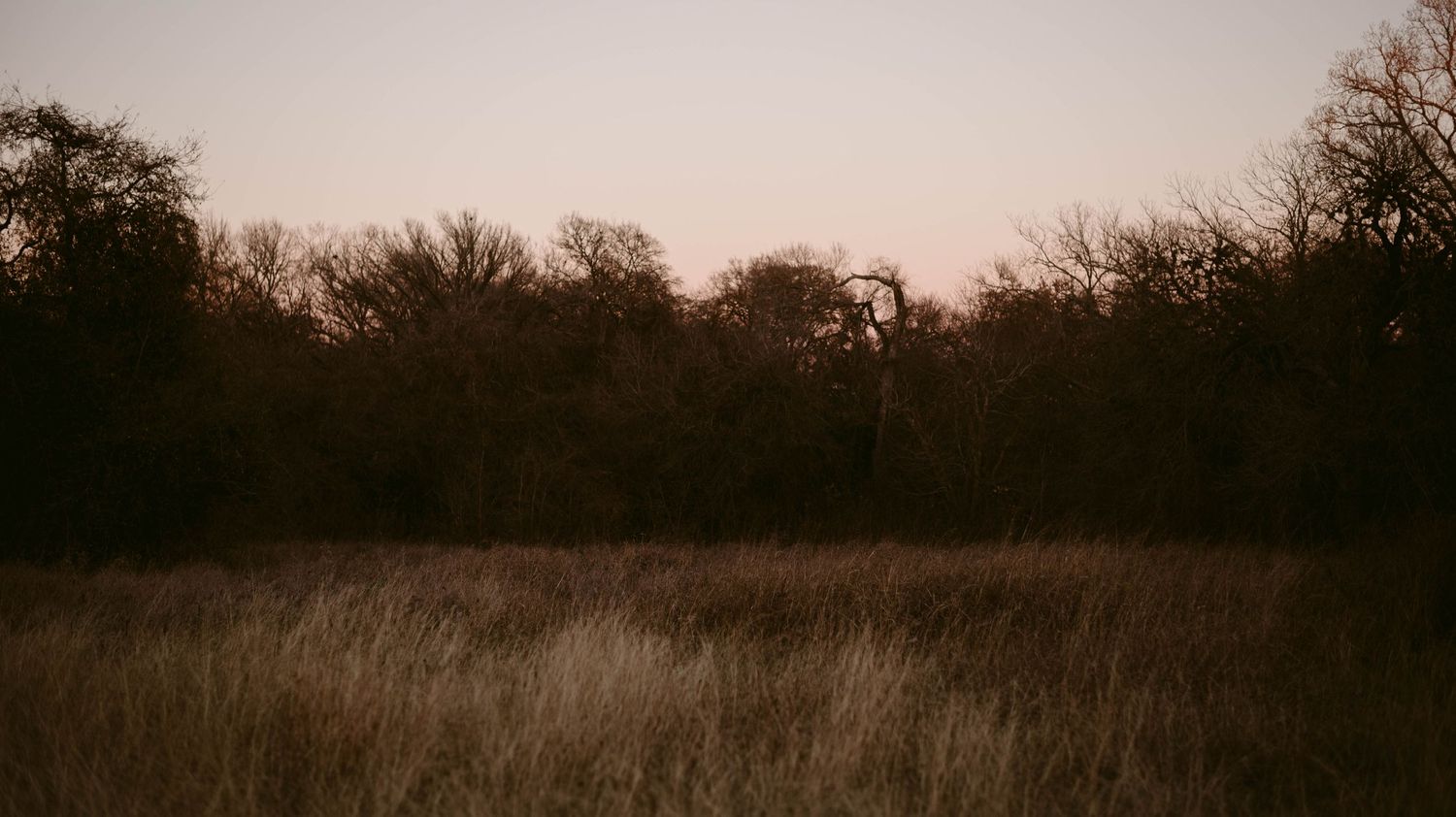 Autumn Family Session at Dusk in Seguin, Texas - Katy Montoya ...