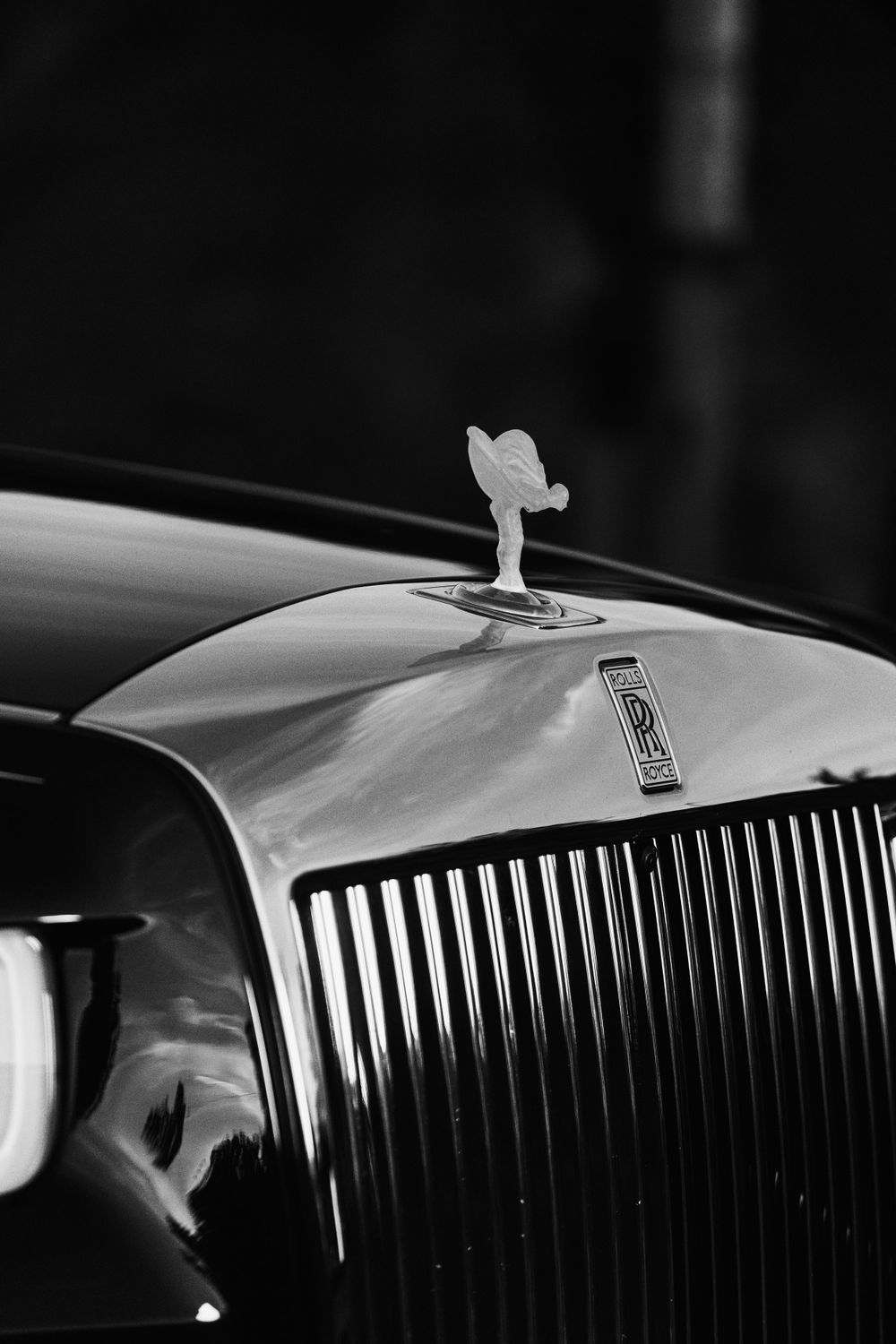 Work - Madison Fender Photography