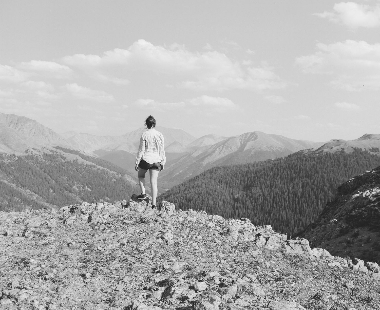 Contact - Cora Johnson Photography