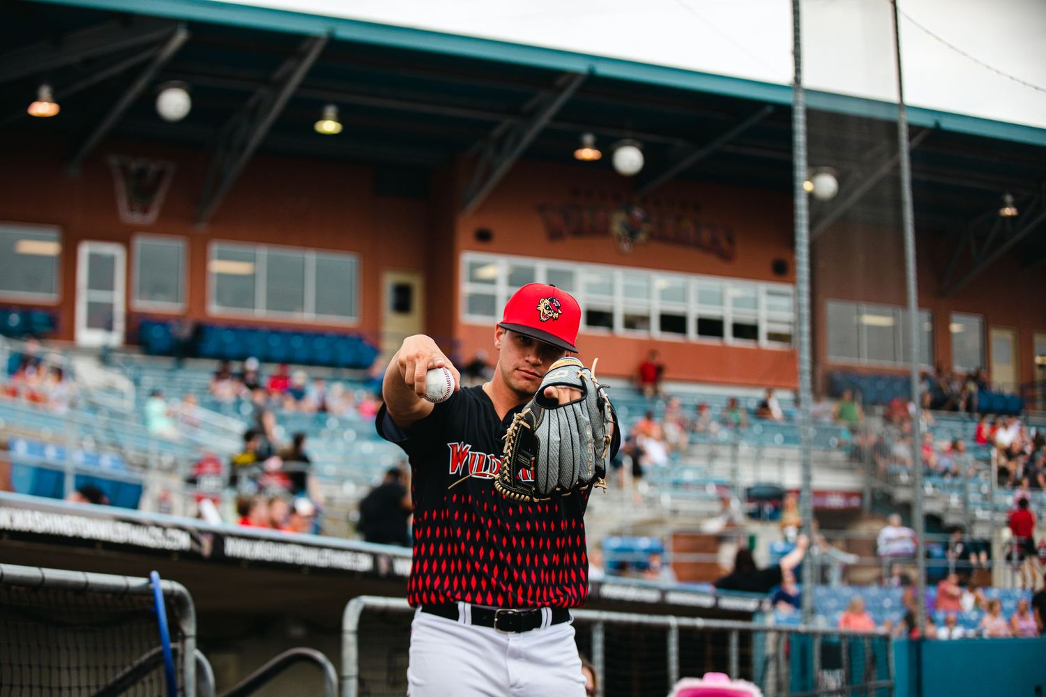 Contact - Rayni Shiring