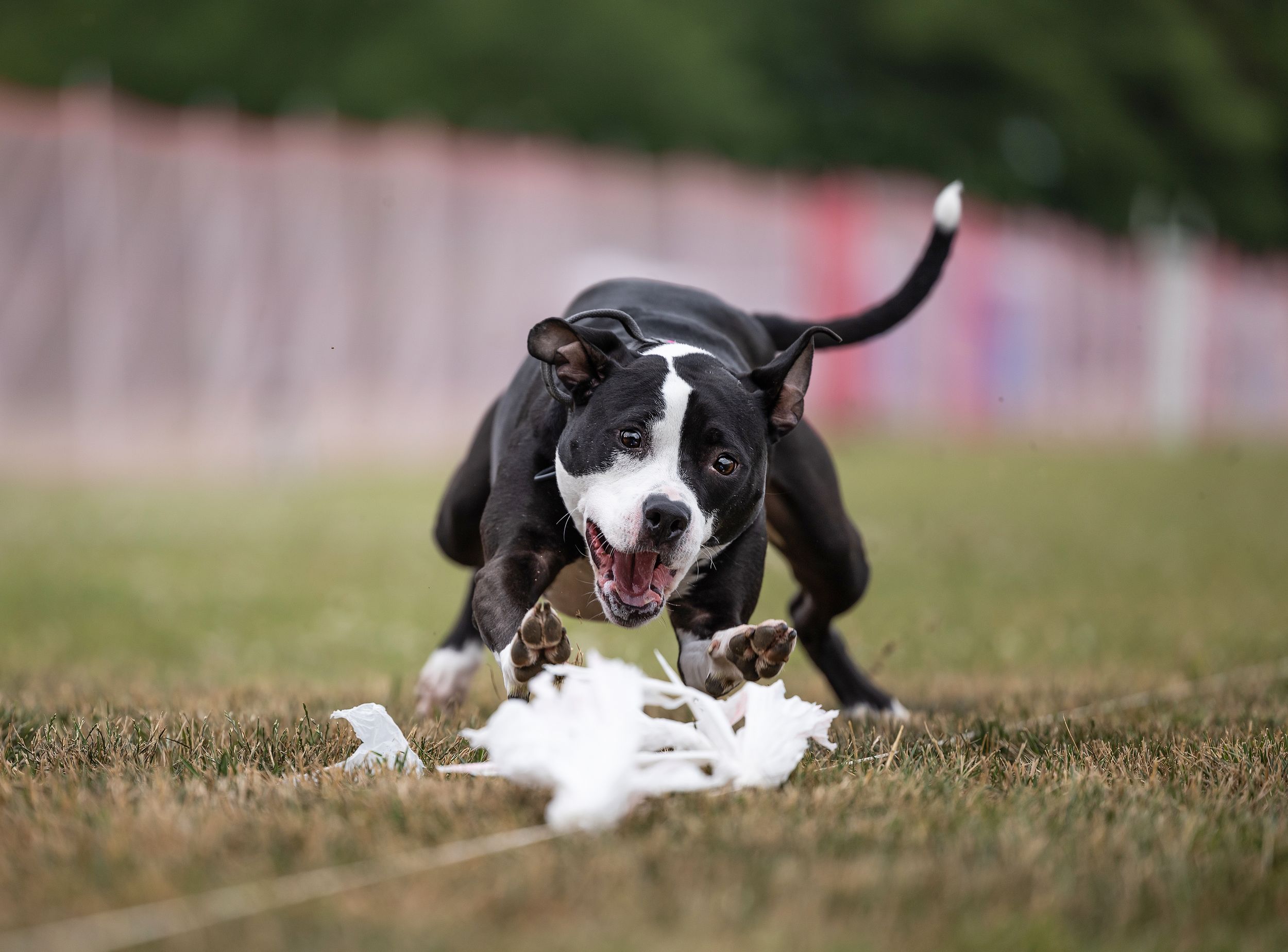 Portfolio - Wander into Focus