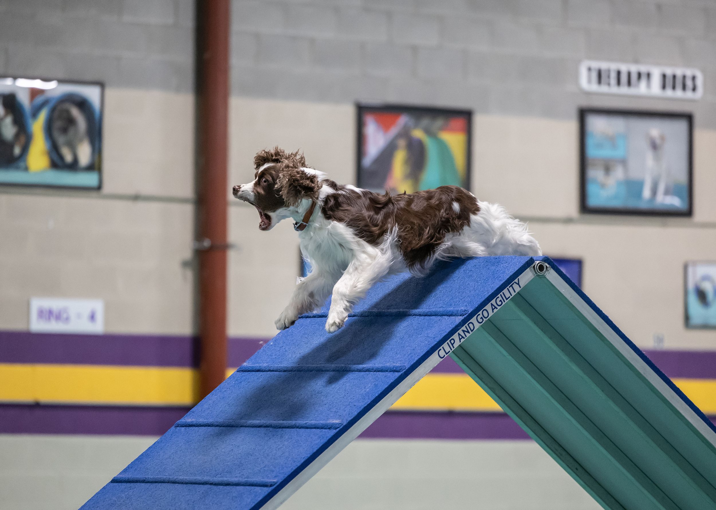 Portfolio - Wander into Focus