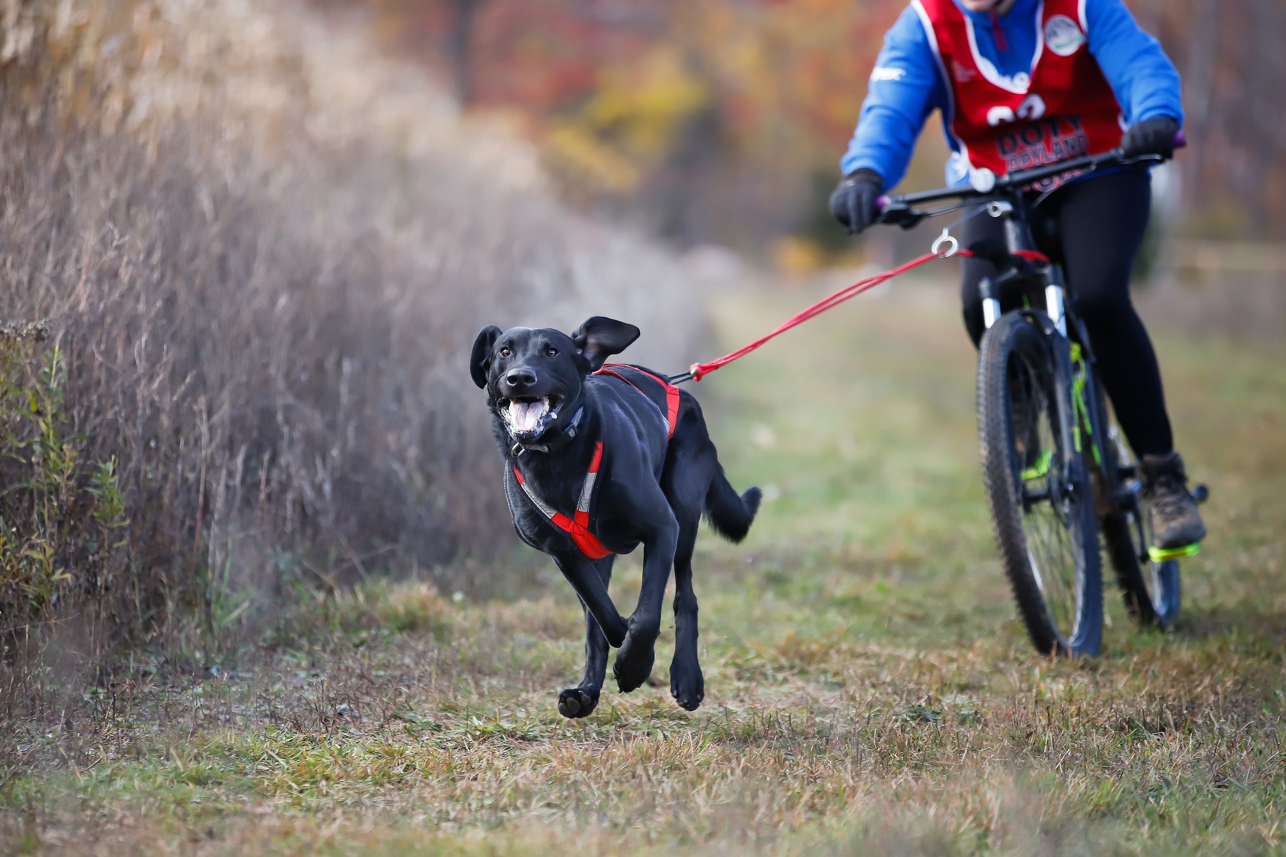 Portfolio - Wander into Focus